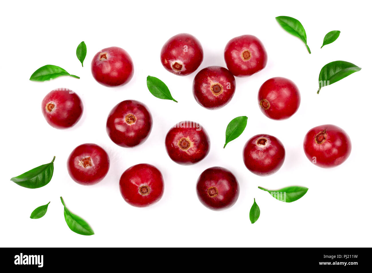 Cranberry isolated on white background closeup top view Stock Photo - Alamy