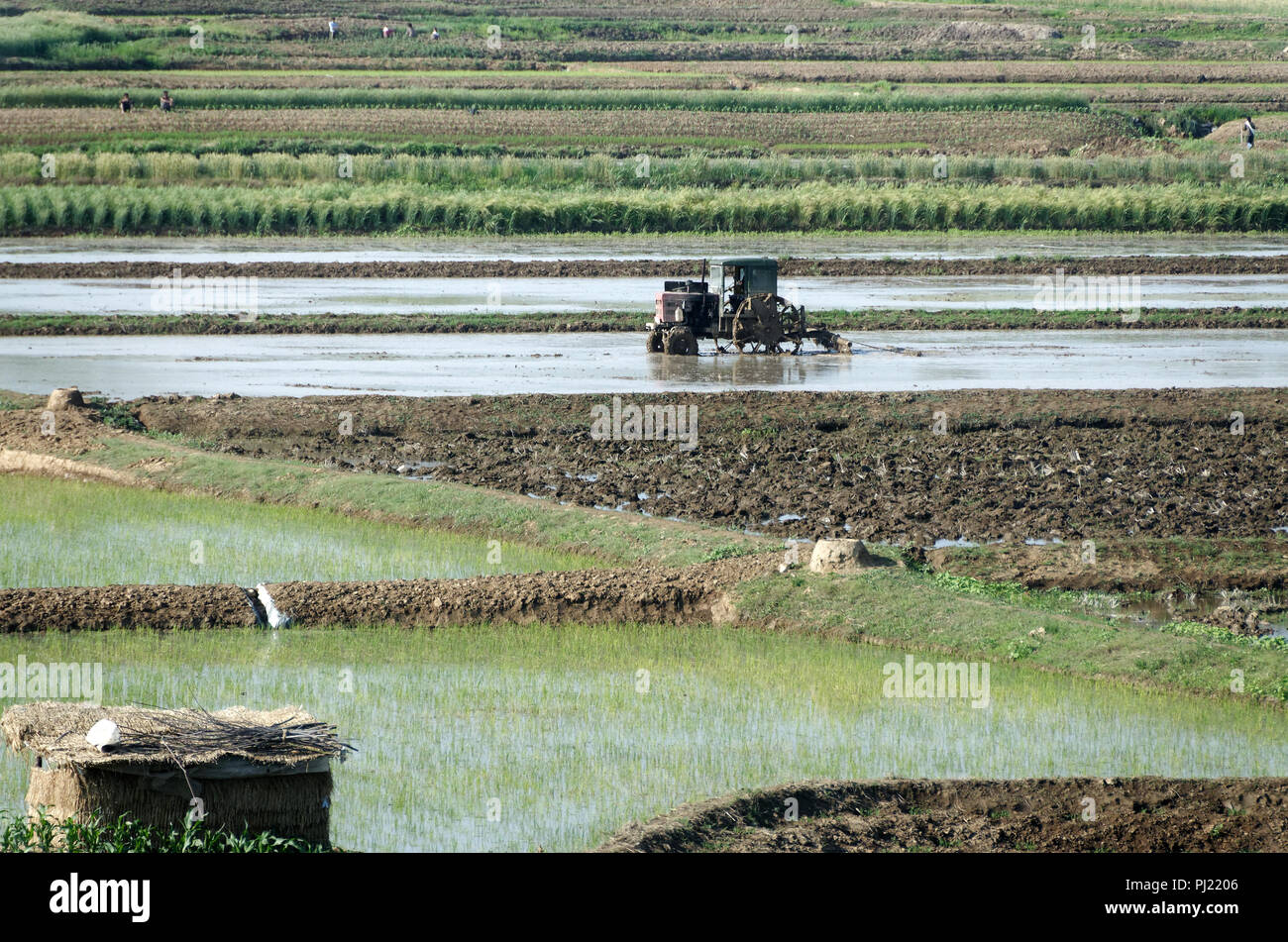 Water wheel irrigation rice fields hi-res stock photography and images ...