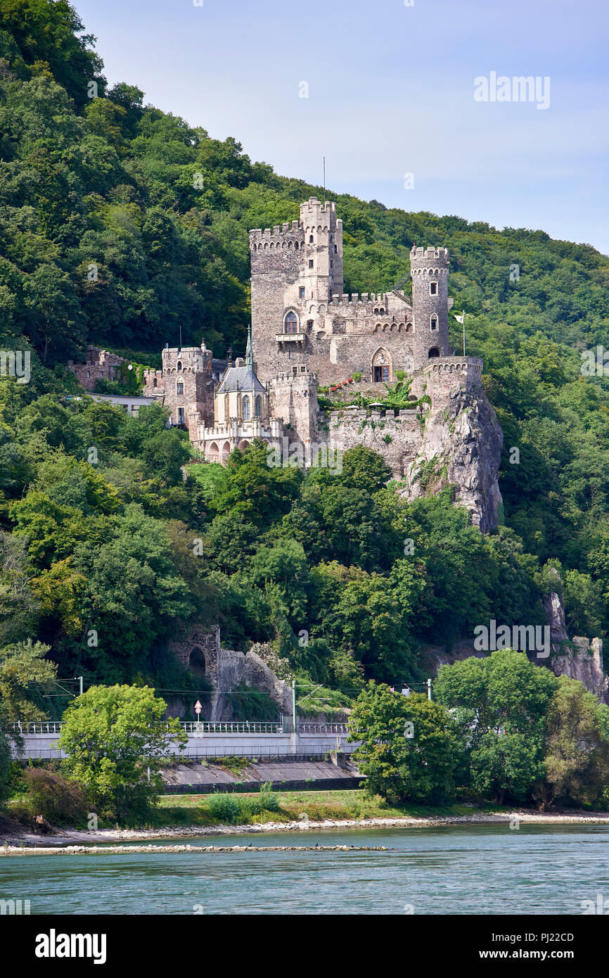 Burg Rheinstein (castle) on the river Rhine, near Assmannhausen am ...