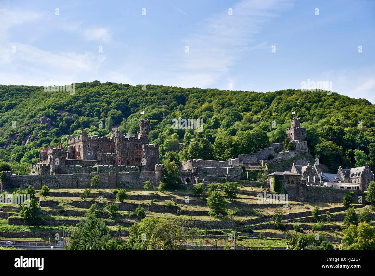 Burg Reichenstein (castle) at Trechtingshausen am Rhein (river Rhine ...