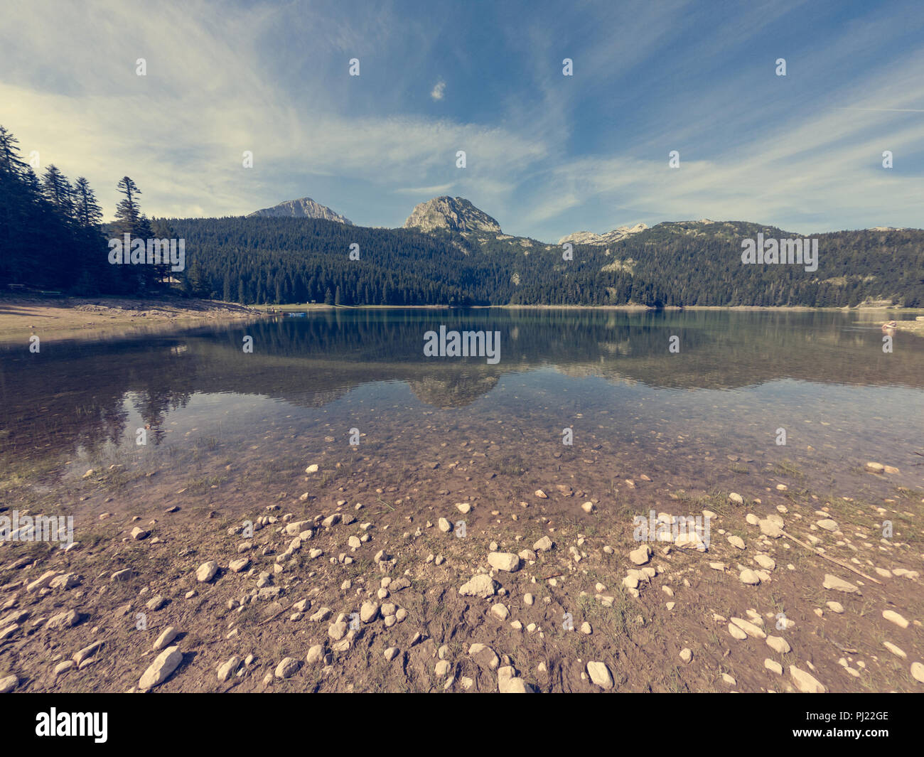 Crystal clear forest lake surrounded with pine trees Stock Photo - Alamy