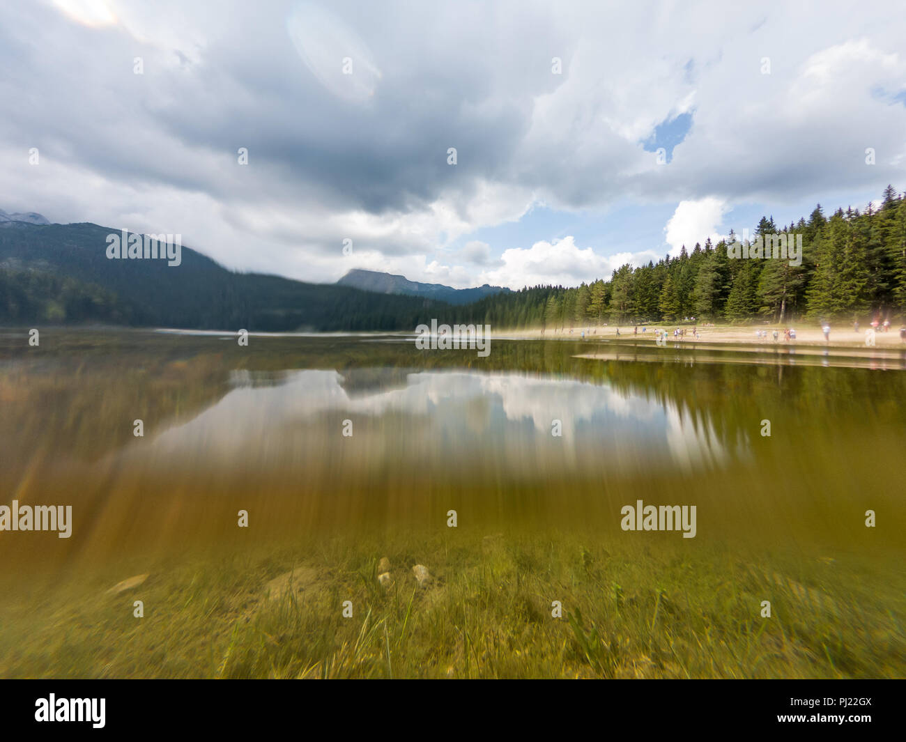 Crystal clear forest lake surrounded with pine trees Stock Photo - Alamy