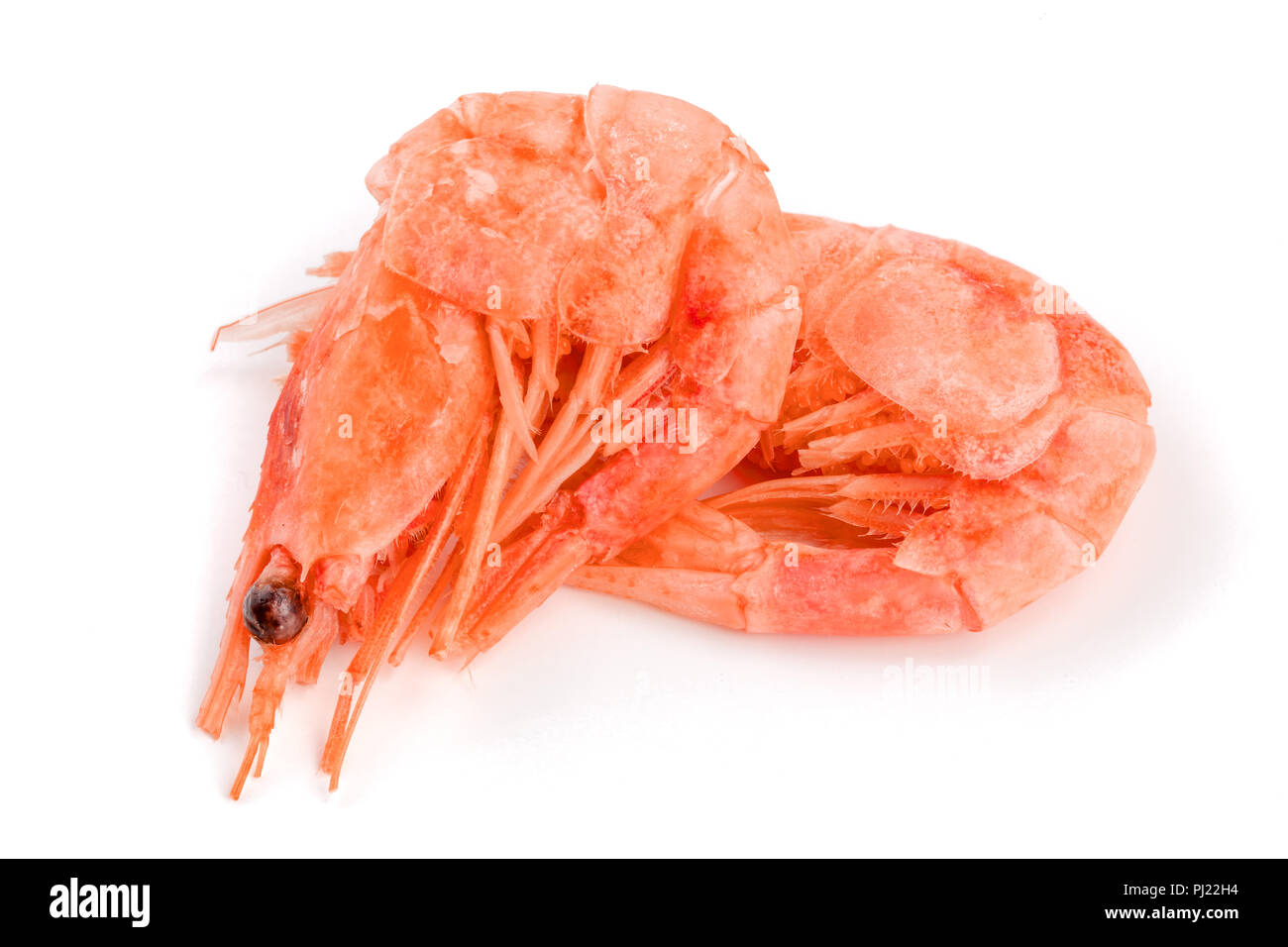 Red cooked prawn or shrimp isolated on white background Stock Photo - Alamy