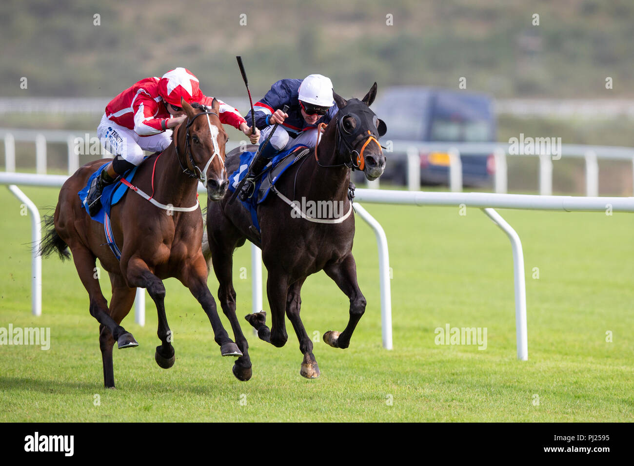 Finley hi-res stock photography and images - Alamy