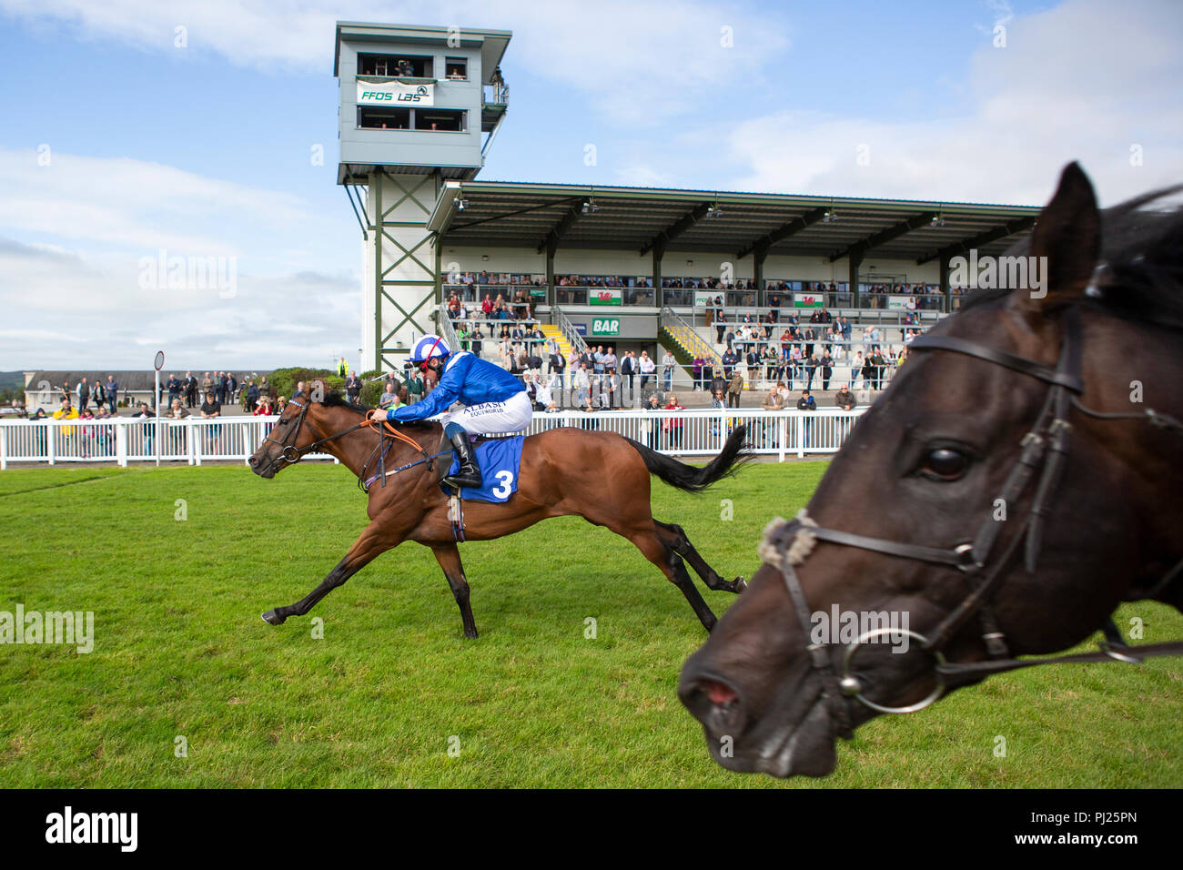Horse racing horses hi-res stock photography and images - Alamy
