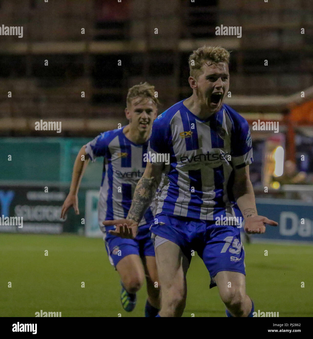 Coleriane hi-res stock photography and images - Alamy