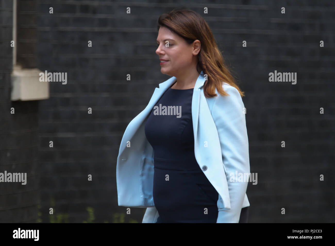 Caroline nokes truss hi-res stock photography and images - Alamy