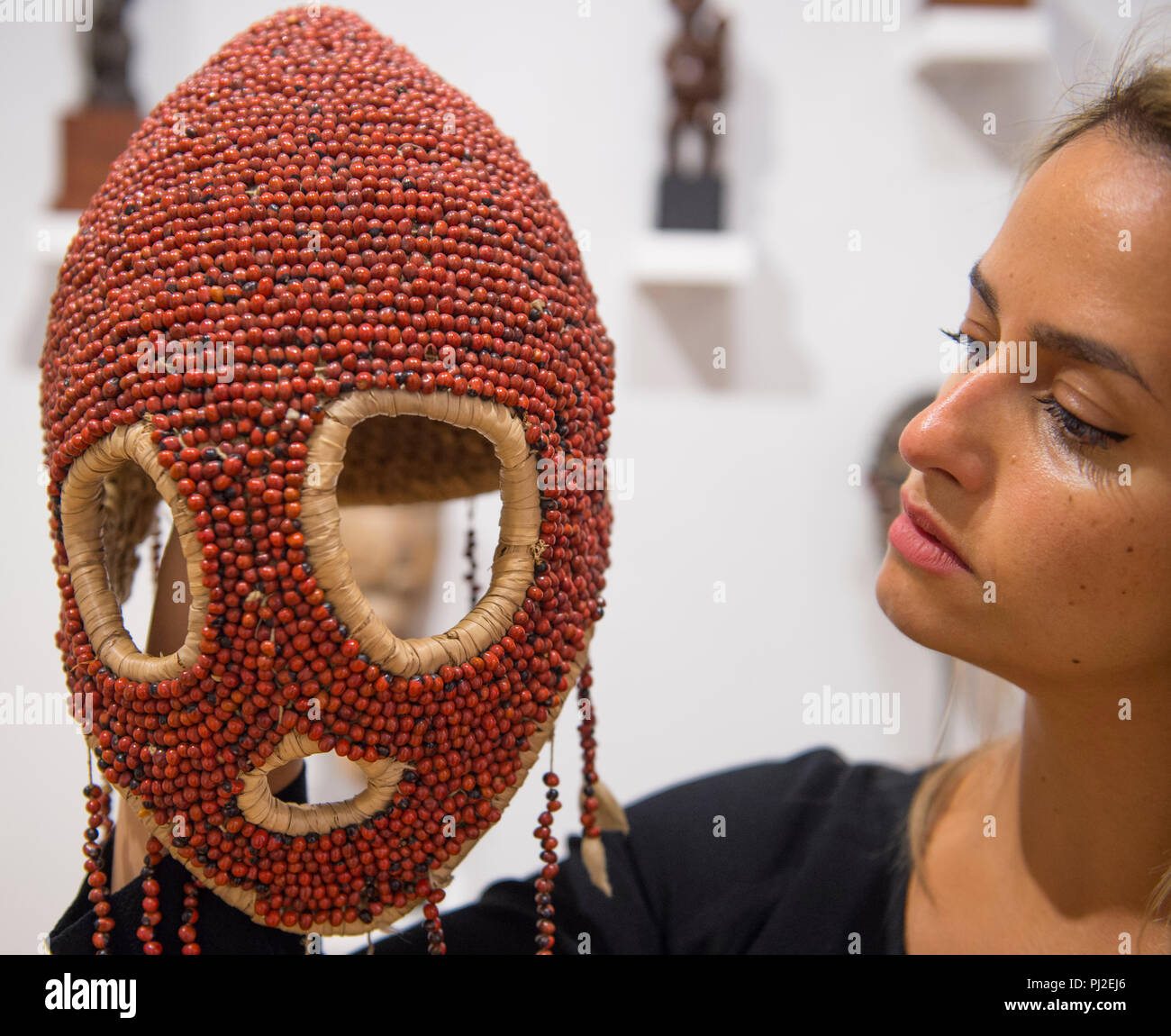 Angas High Resolution Stock Photography and Images - Alamy