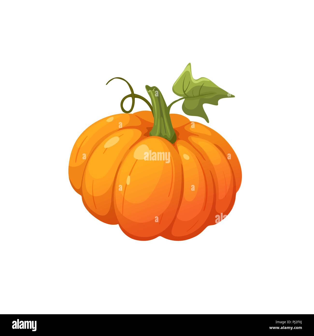 pumpkin vector illustration Stock Vector Image & Art - Alamy