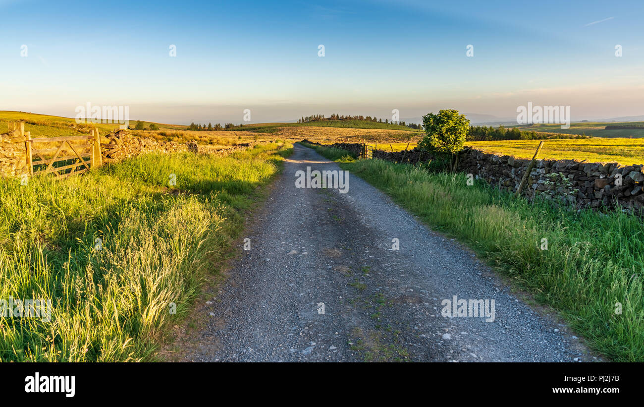 Evening light on a rural road in the Yorkshire Dales near Settle, North ...