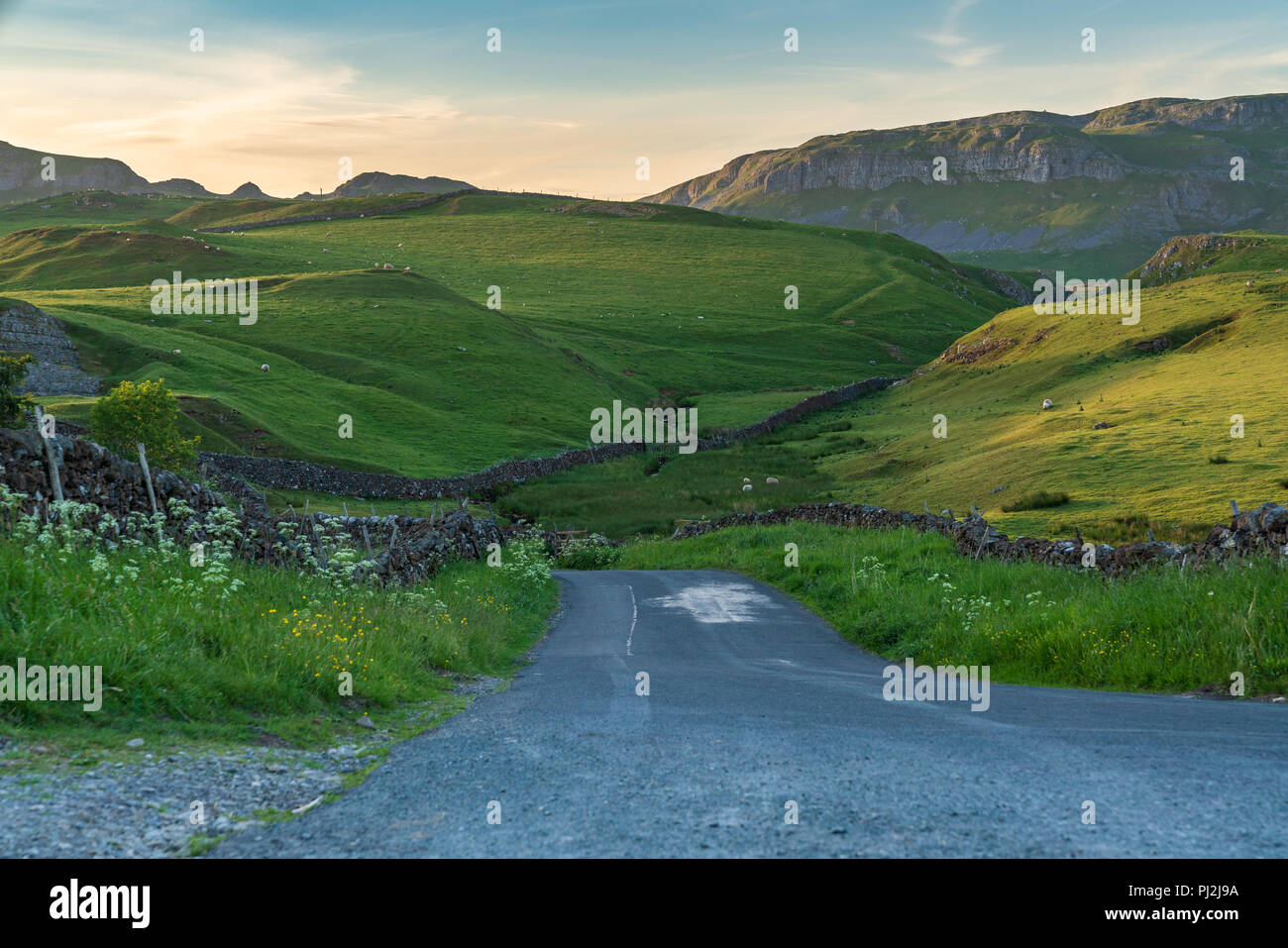 Evening light over the Yorkshire Dales near Settle, North Yorkshire ...