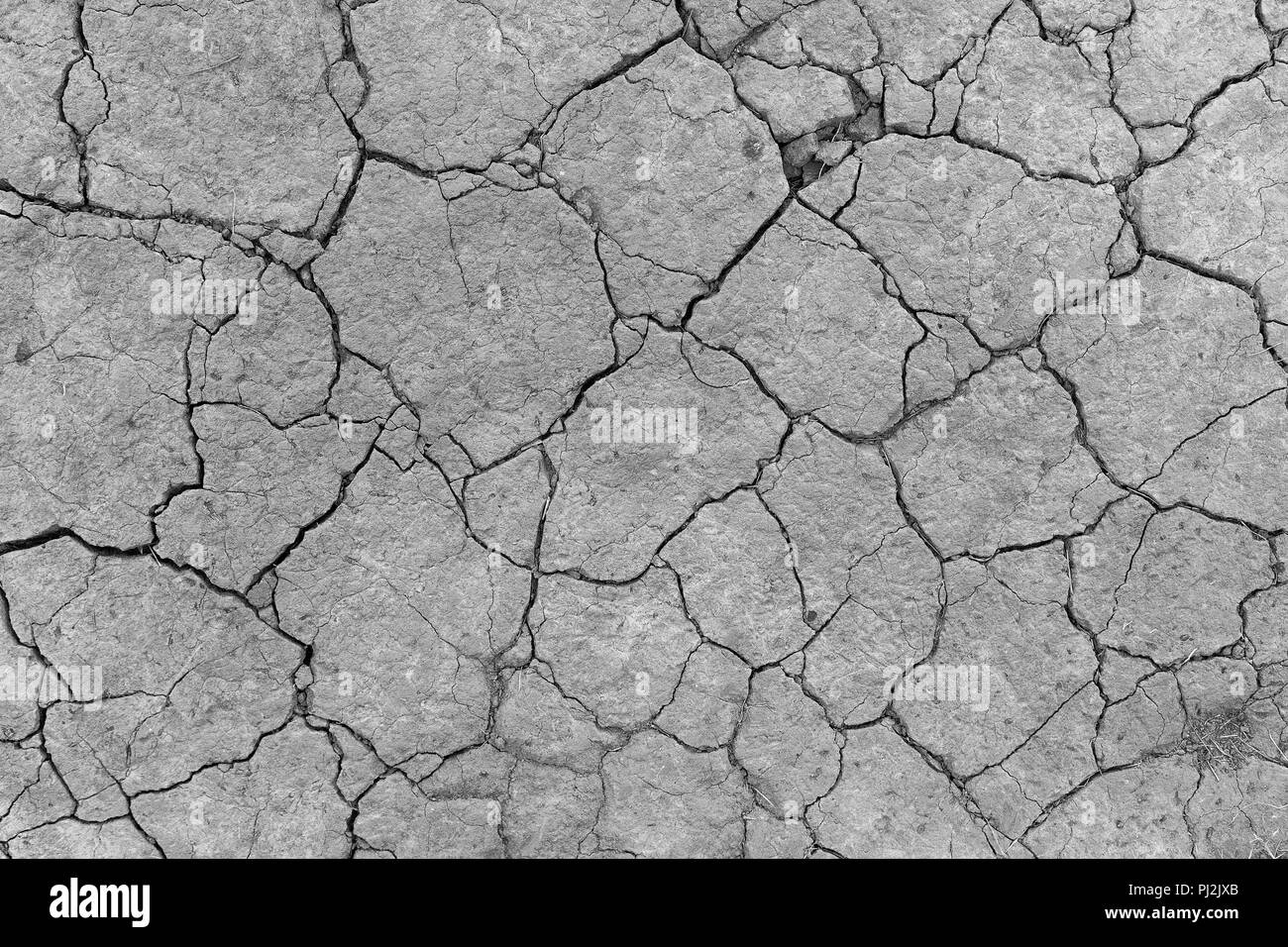 Outdoor wasteland dry nature Black and White Stock Photos & Images - Alamy