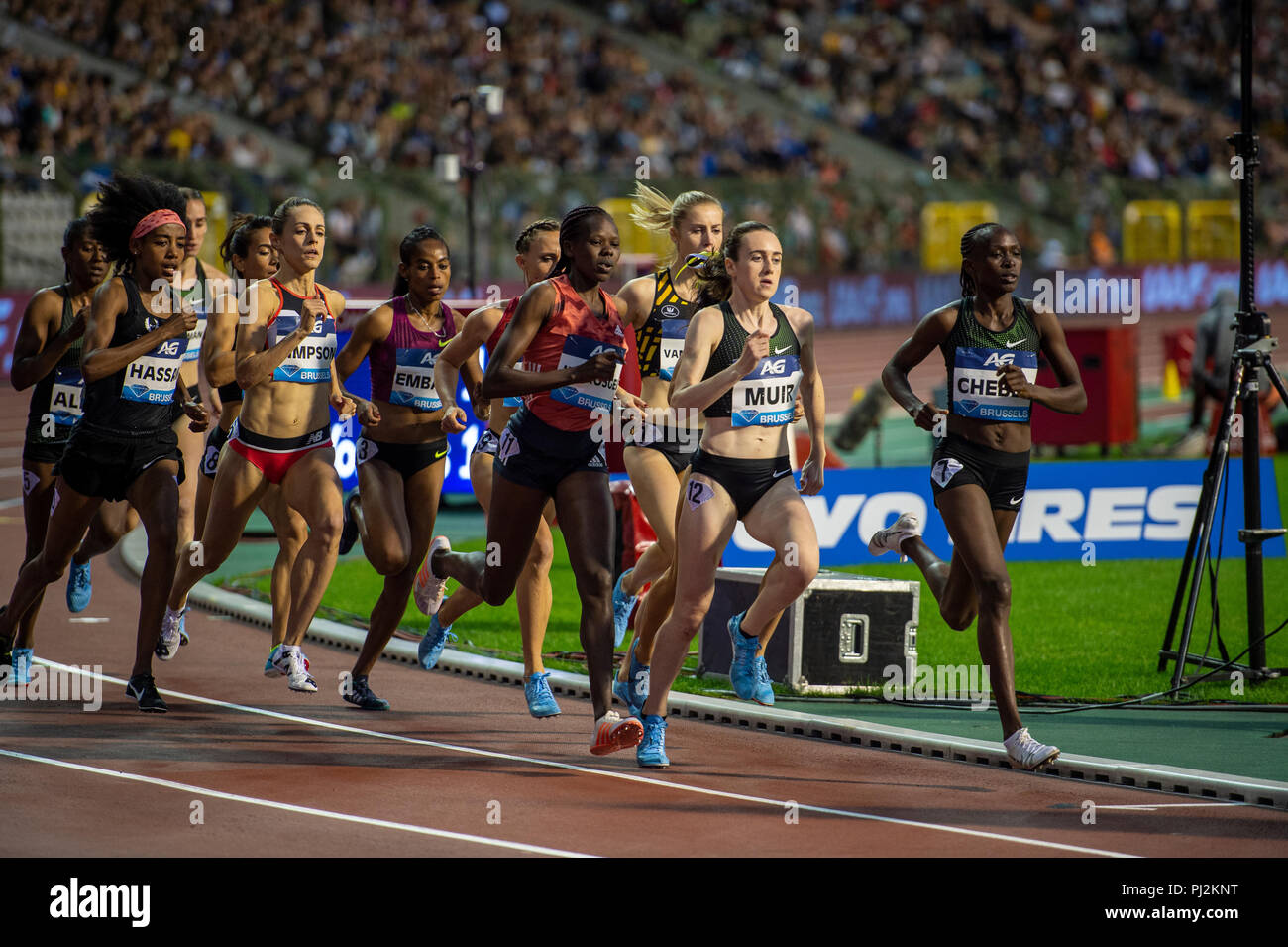 BRUSSELS - BELGIUM, 31 AUG 18. Laura Muir of great Britain competing in ...