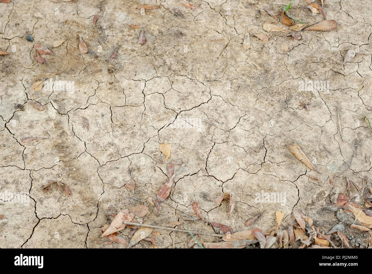 Dry ground background Stock Photo - Alamy