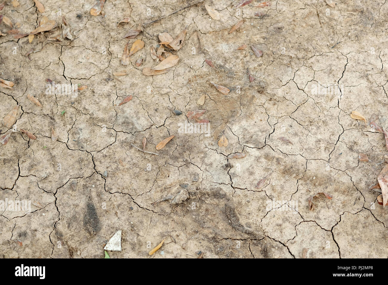 Dry ground background Stock Photo - Alamy