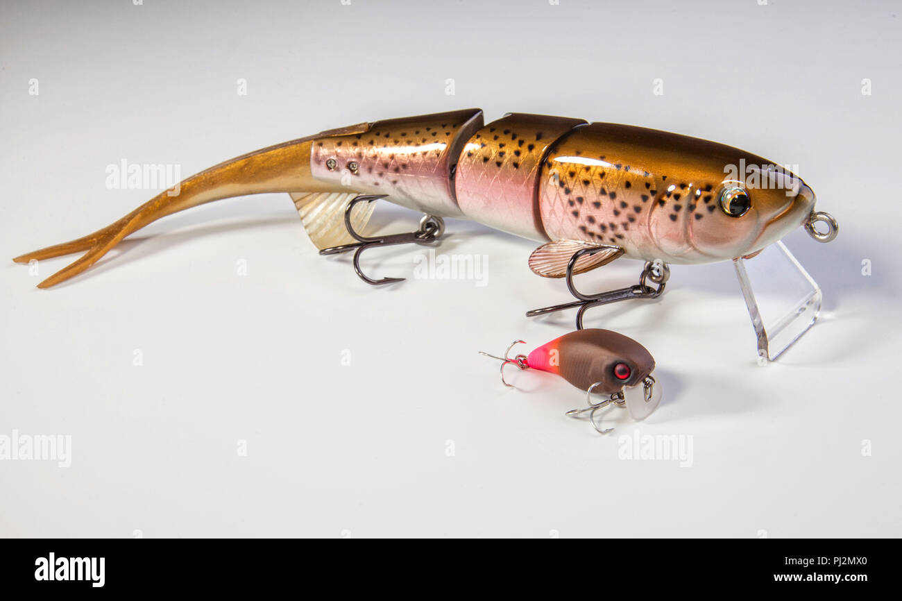 Topwater fishing hi-res stock photography and images - Alamy