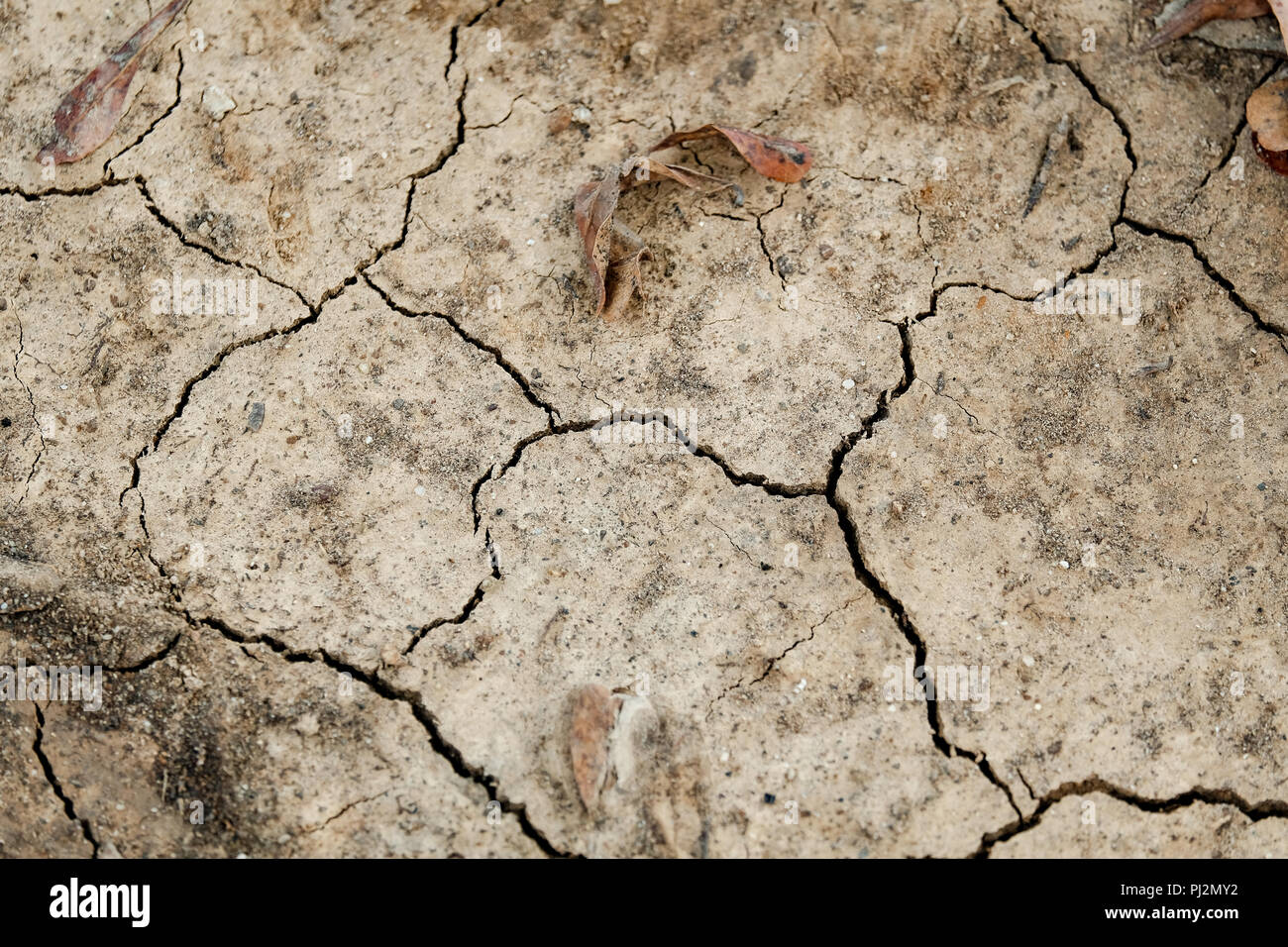 Dry ground background Stock Photo - Alamy
