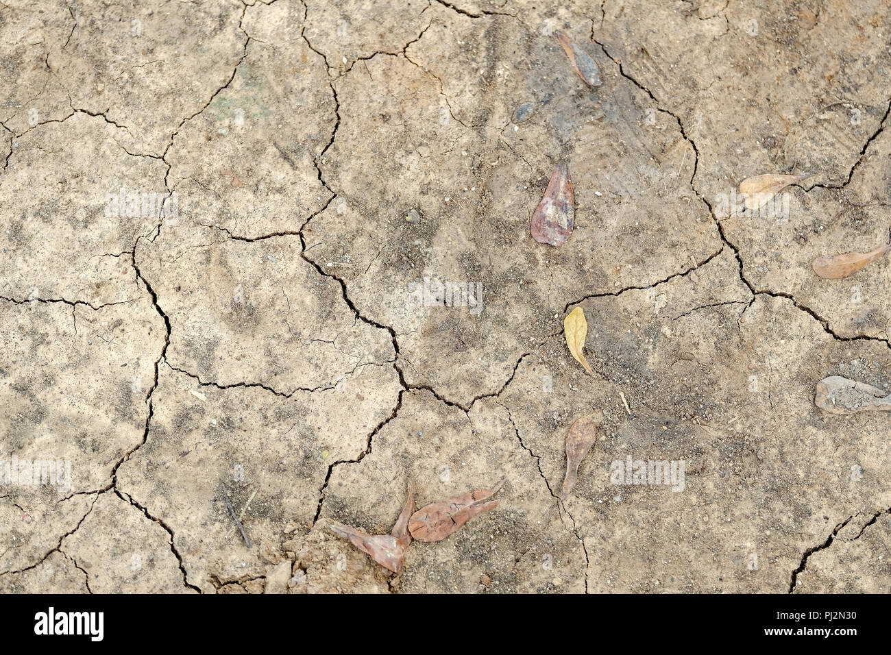 Dry ground background Stock Photo - Alamy