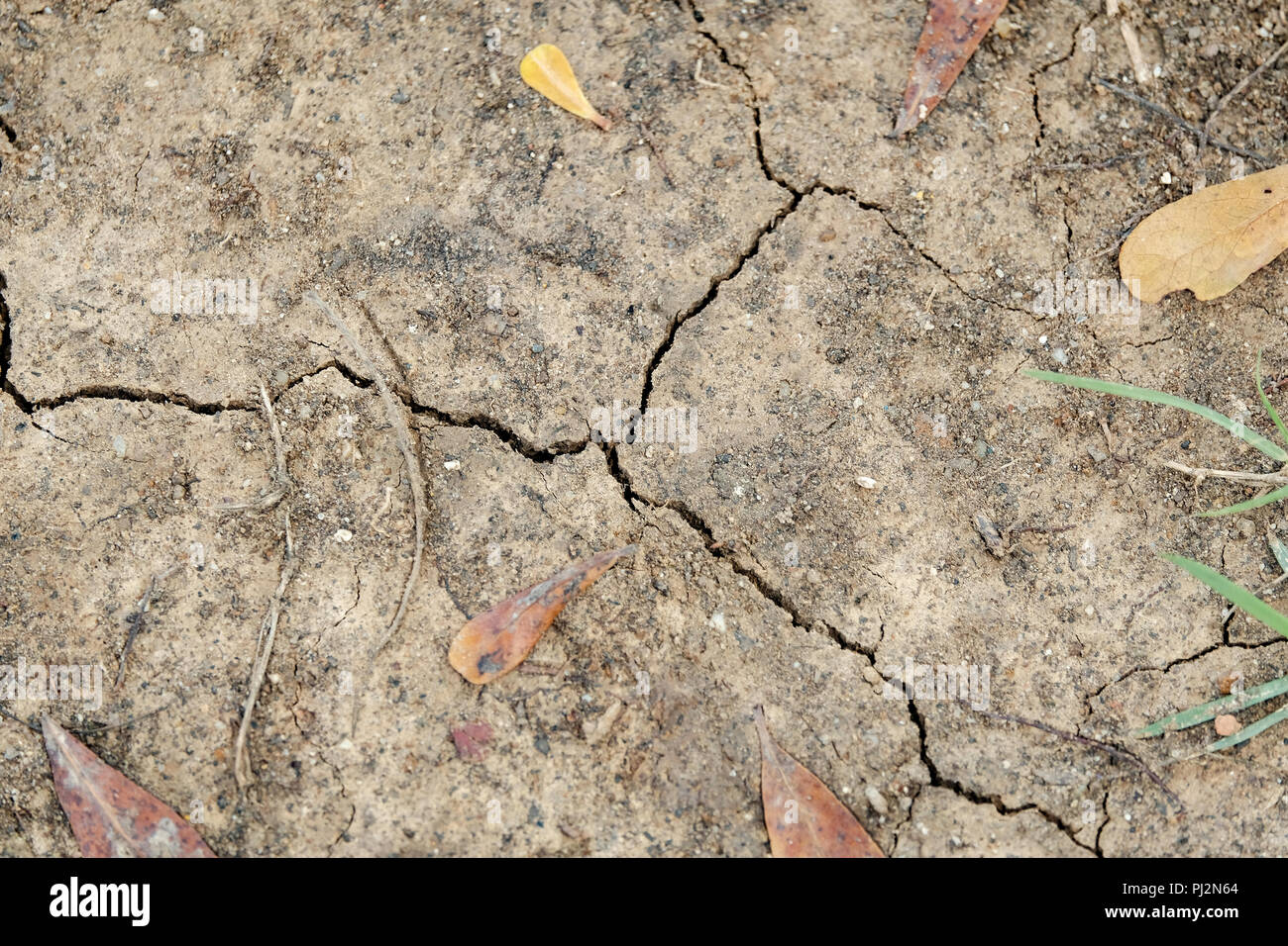 Dry ground background Stock Photo - Alamy