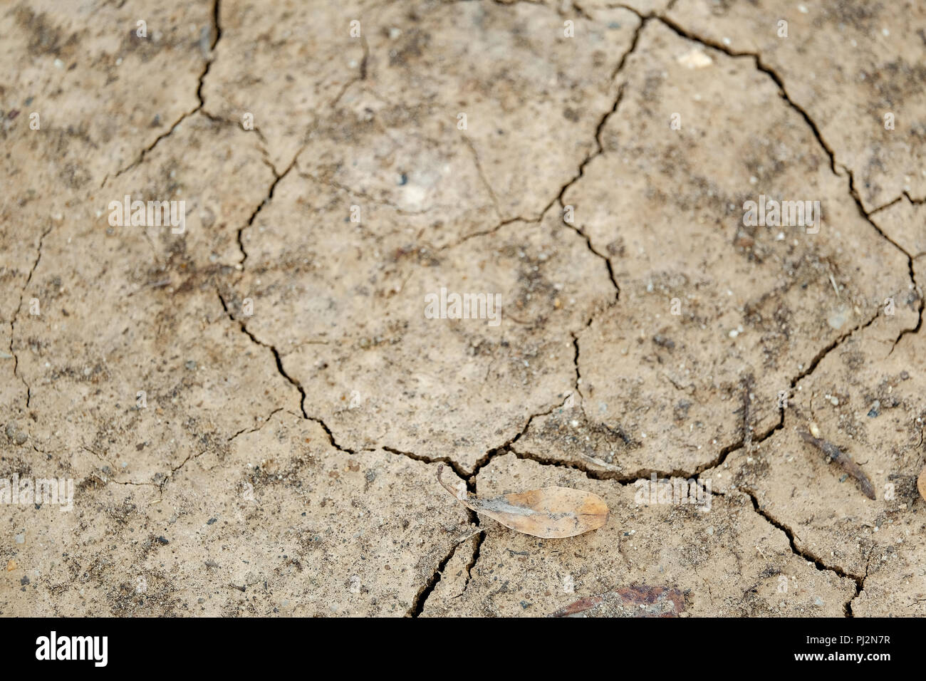 Dry ground background Stock Photo - Alamy