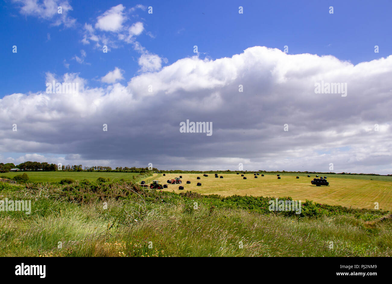 Irish fields hi-res stock photography and images - Alamy