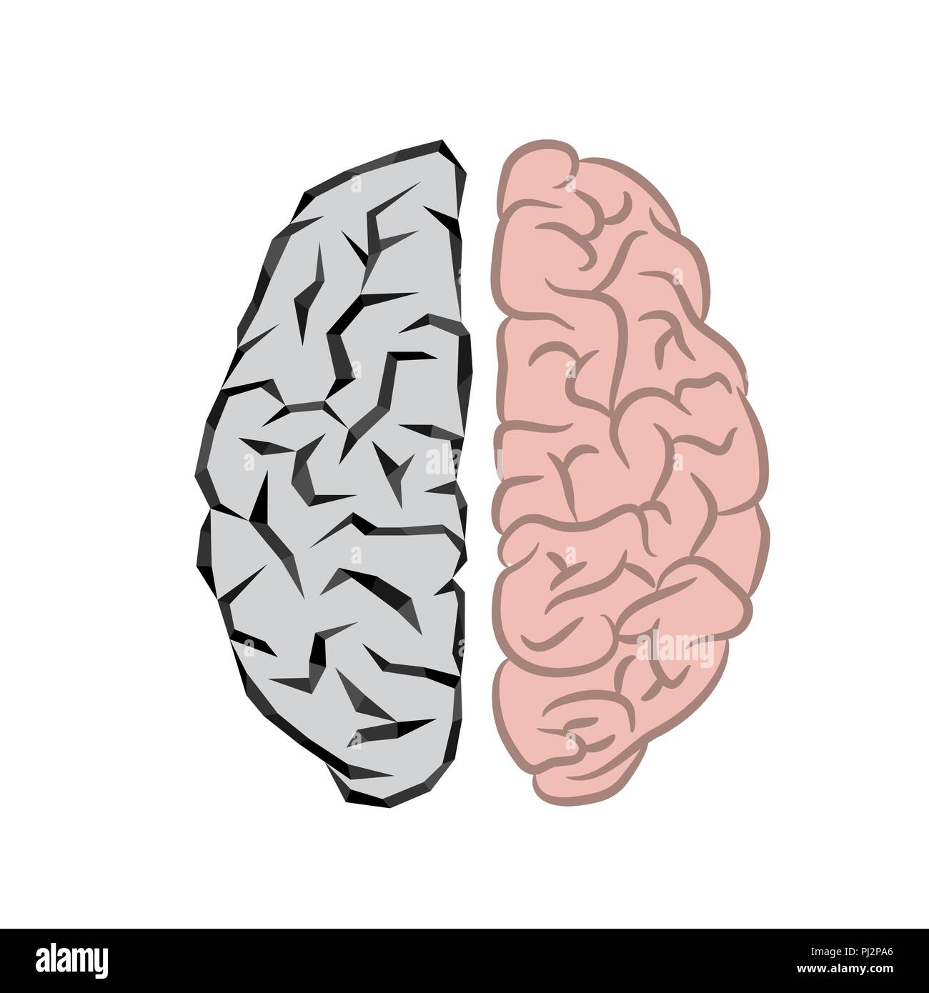 Black and pink outline silhouette of human brain on white background ...