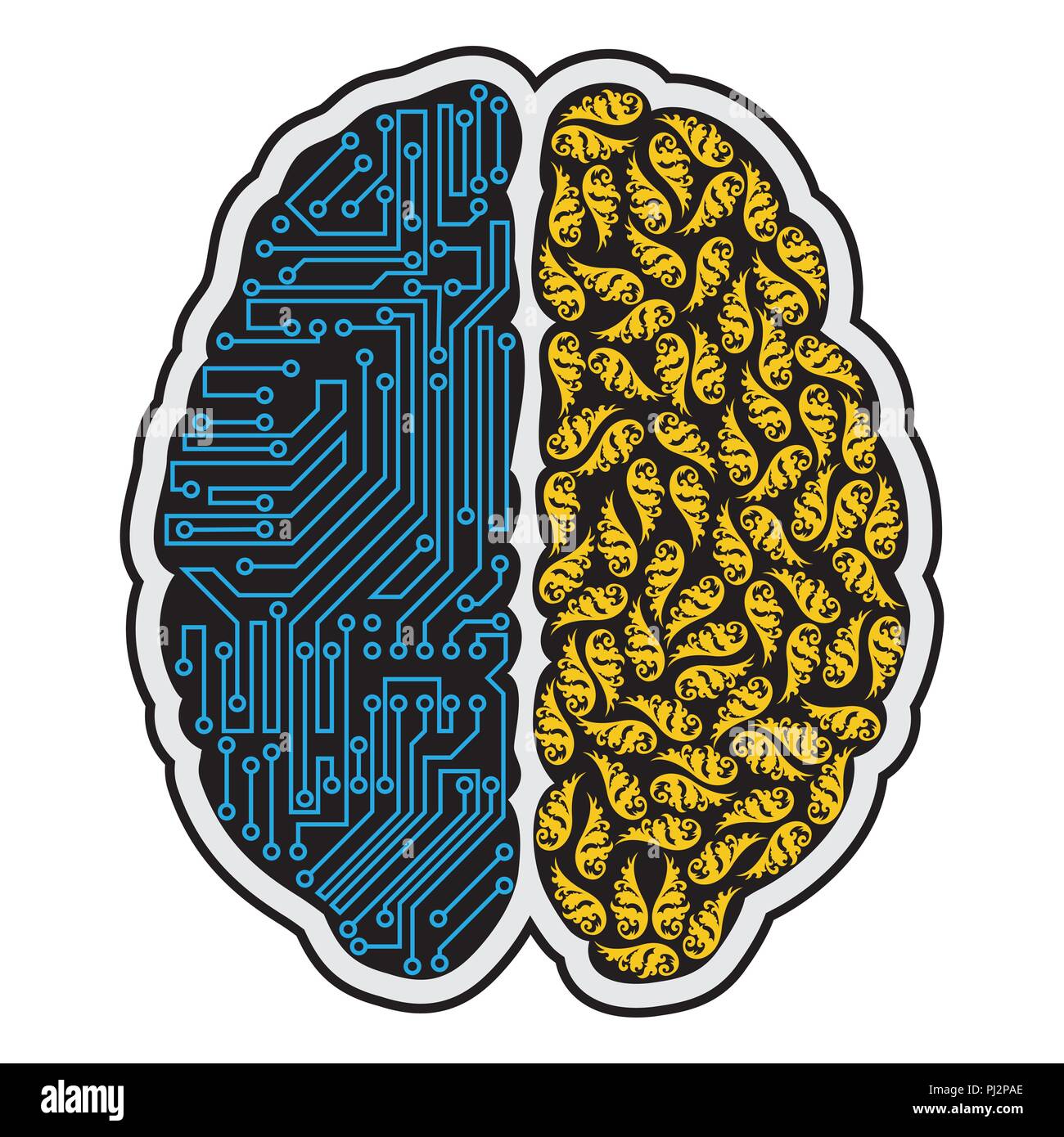 Human brain anatomy organ Stock Vector Images - Alamy