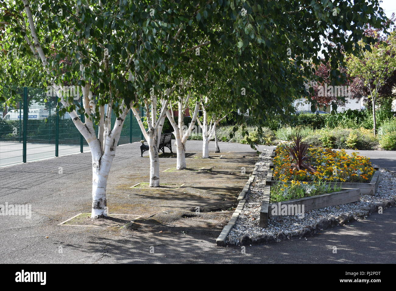The four trees Stock Photo - Alamy