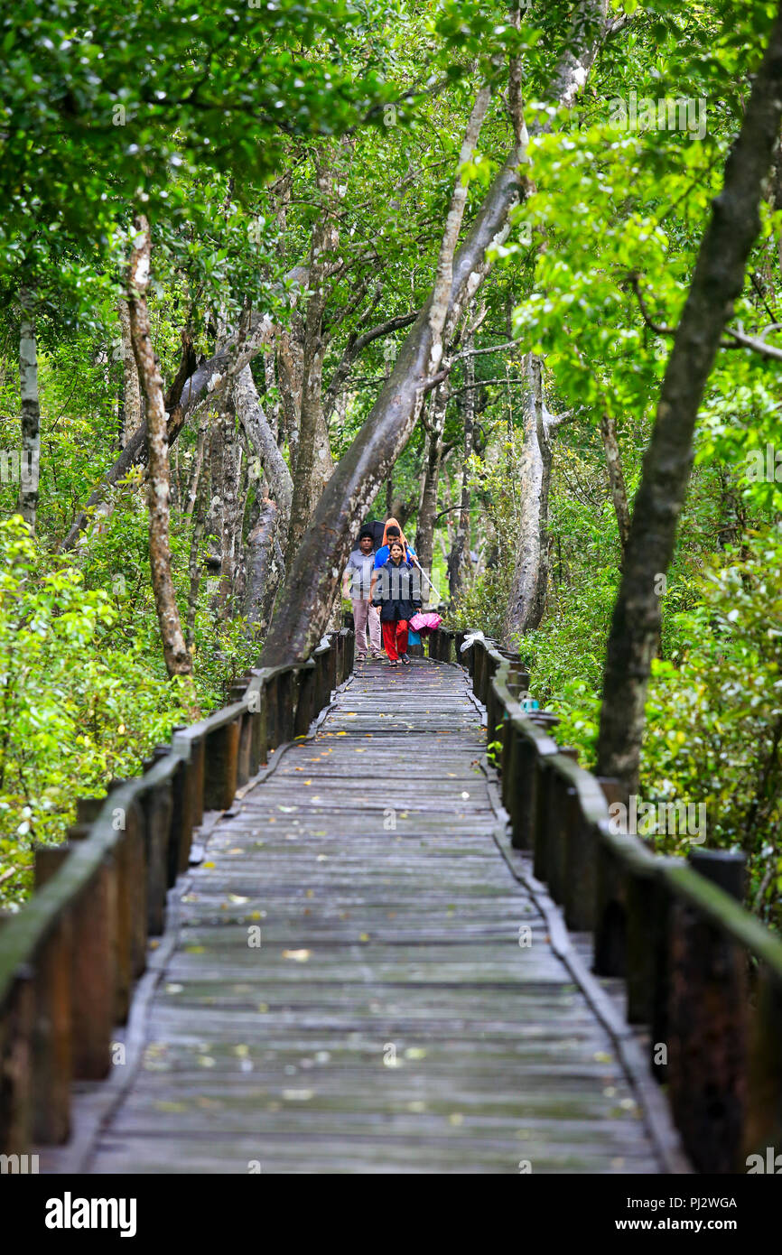 Wooden walk way at the Koromjol Eco Tourism center in the Sundarbans ...