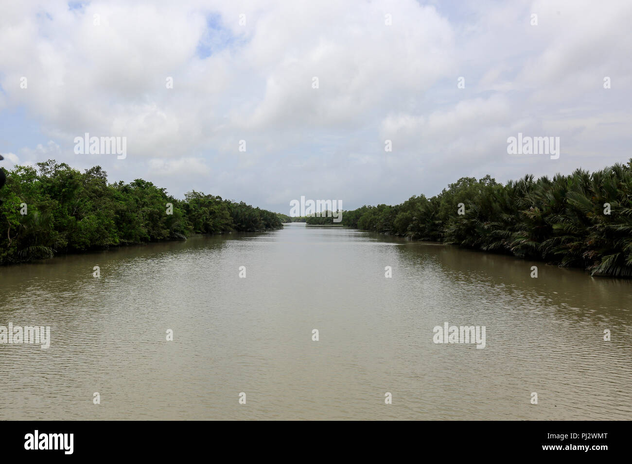 View of the Sundarbans mangrove forest during high tide. Bangladesh ...