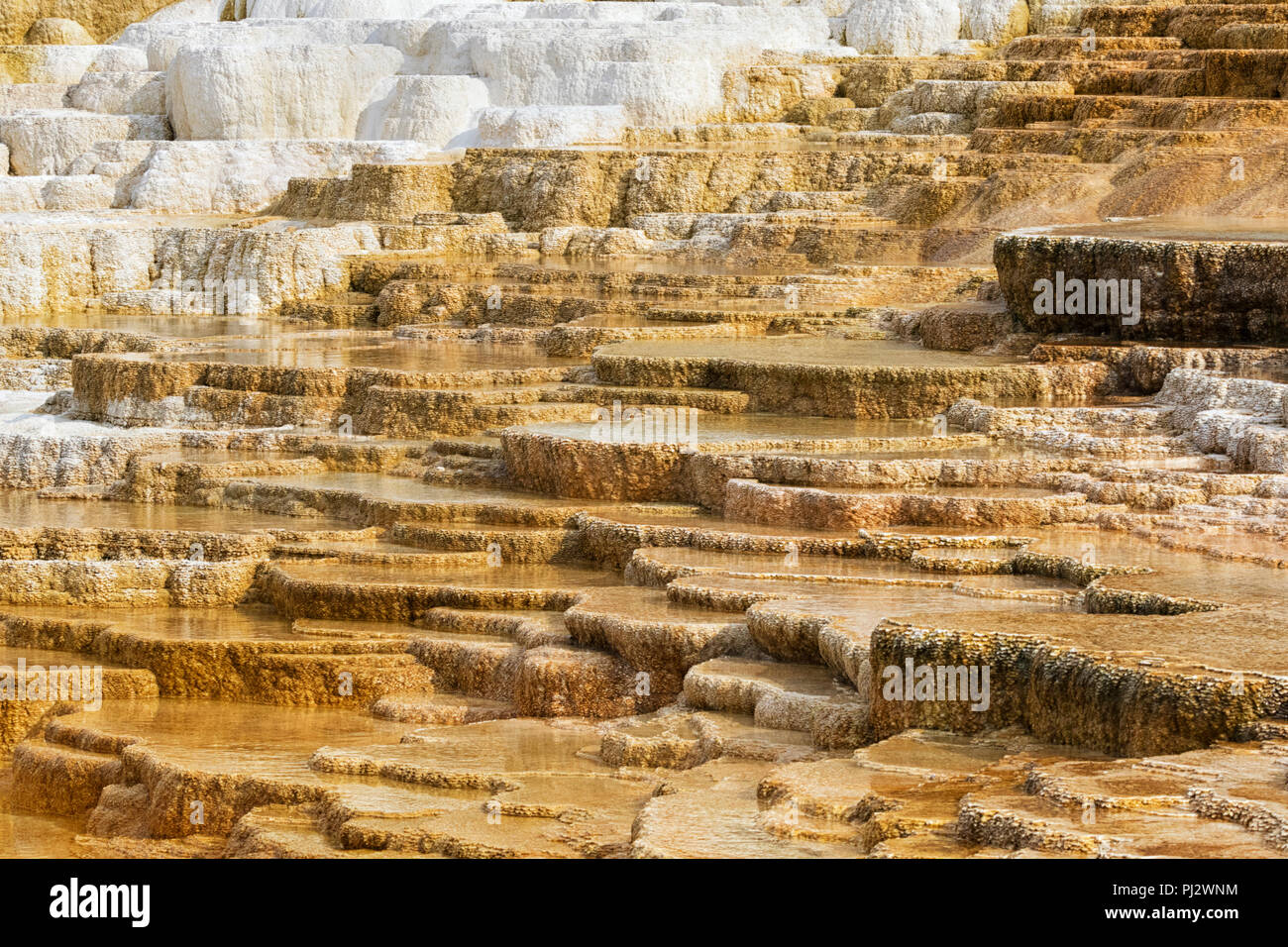 Mammoth Hot Springs Terraces in Yellowstone National Park, Wyoming, USA ...