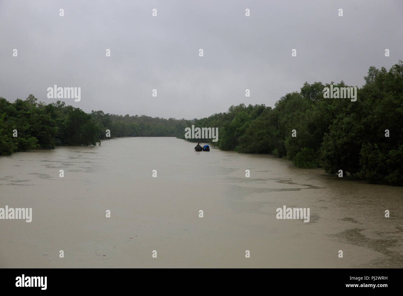 Fishing boats on the Shela River in Sundarbans, a UNESCO World Heritage ...