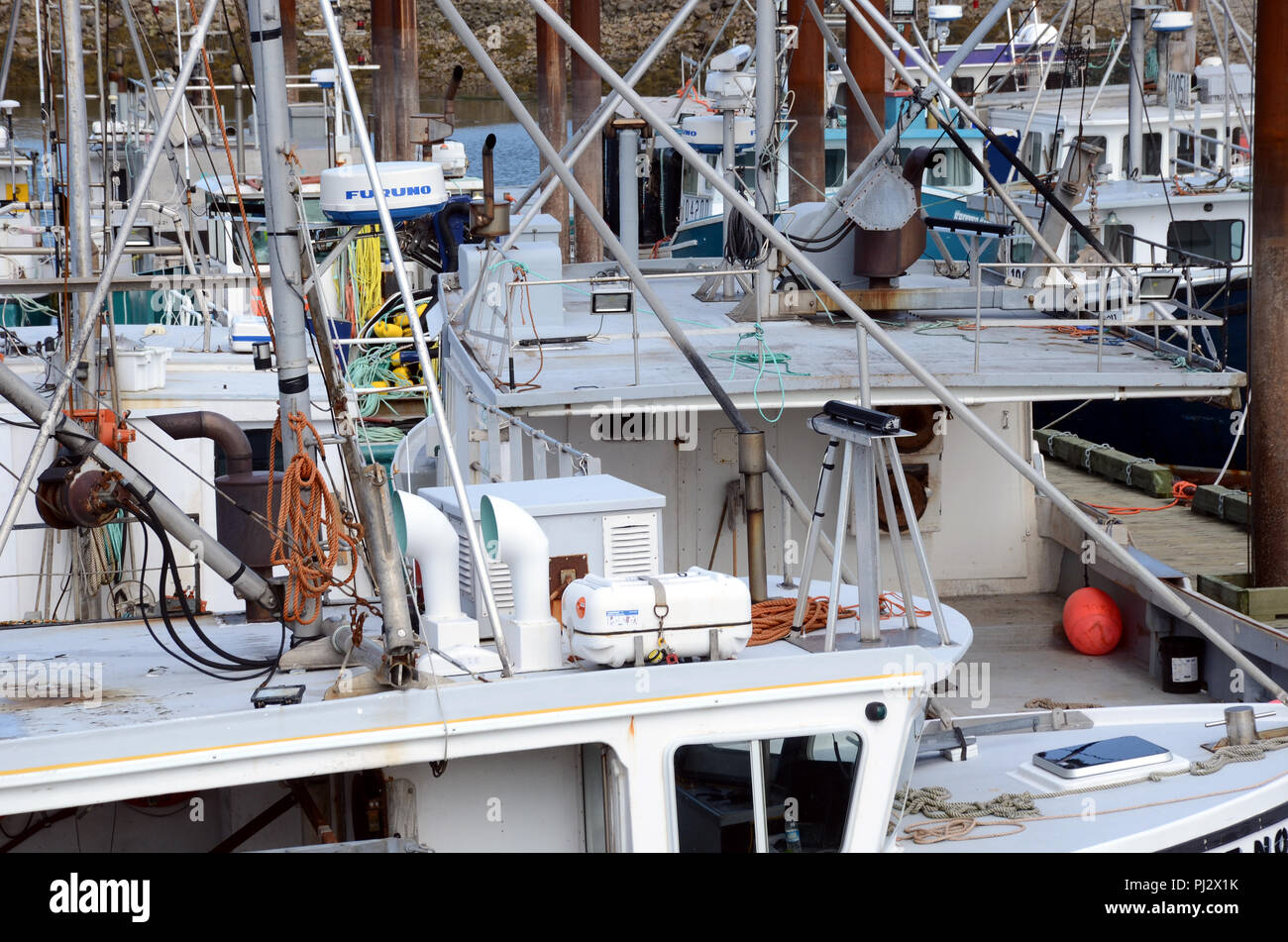Fishing boats, Grand Manan Island, New Brunswick Stock Photo - Alamy Fishing boats, Grand Manan Island, New Brunswick Stock Photo - Alamy