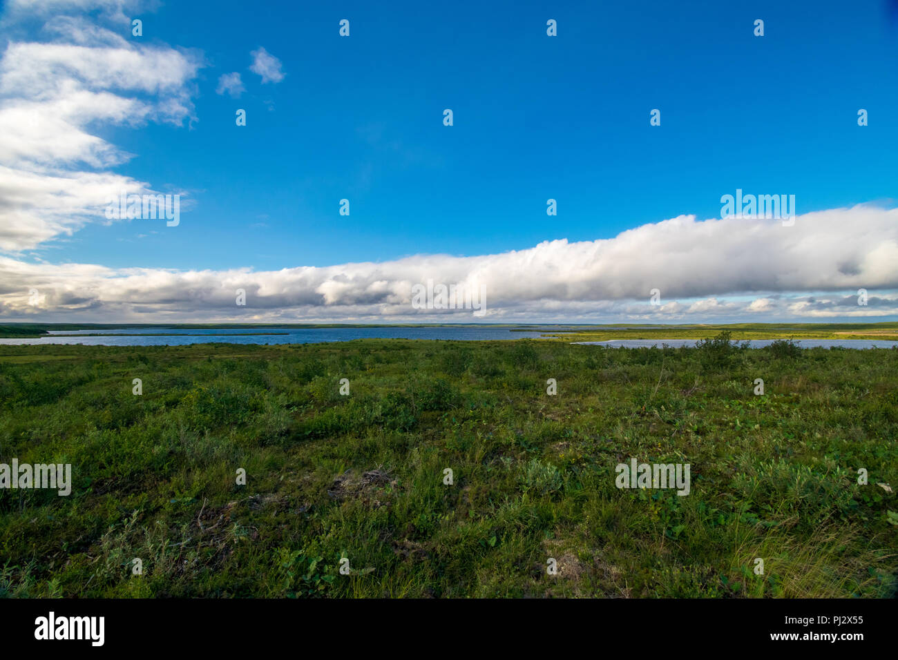 The Arctic As Seen From The Mackenzie Valley Highway From Inuvik to ...