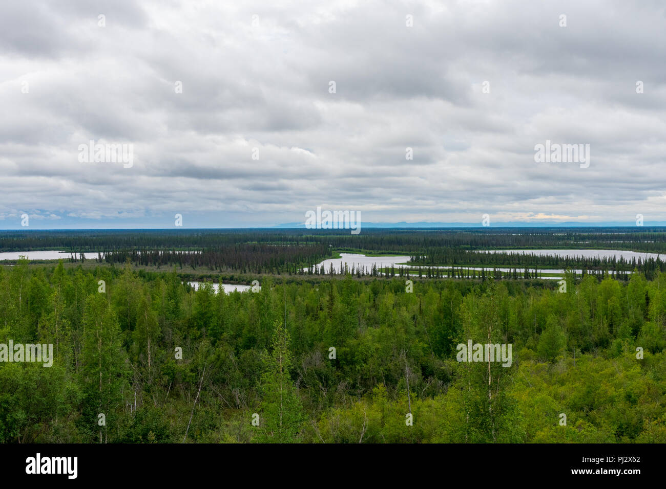 The Mackenzie River Delta, Northwest Territories, Canada Stock Photo ...