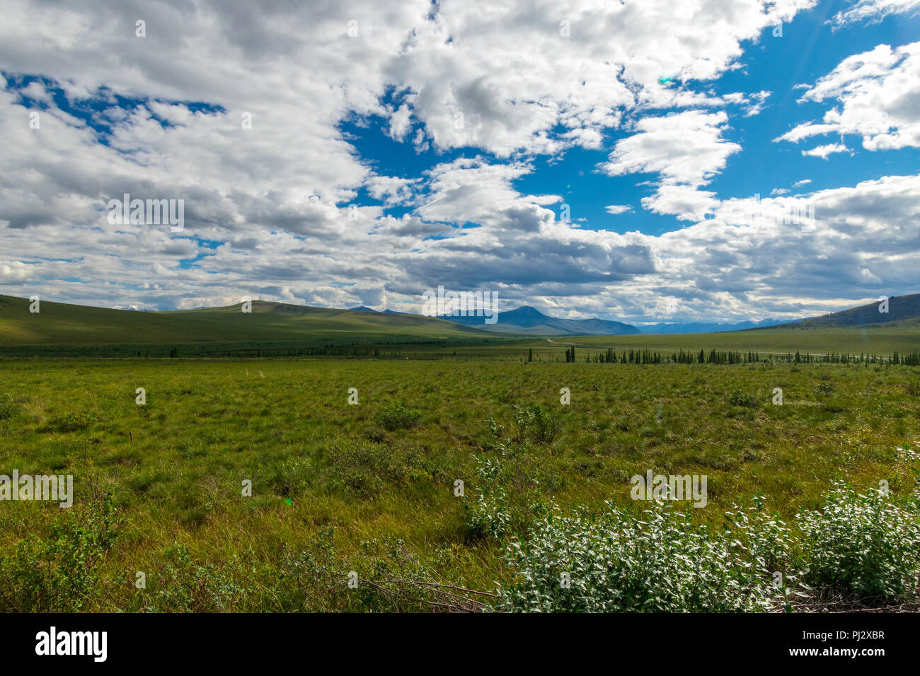 The Vast Wilderness of The Yukon, Canada Stock Photo - Alamy