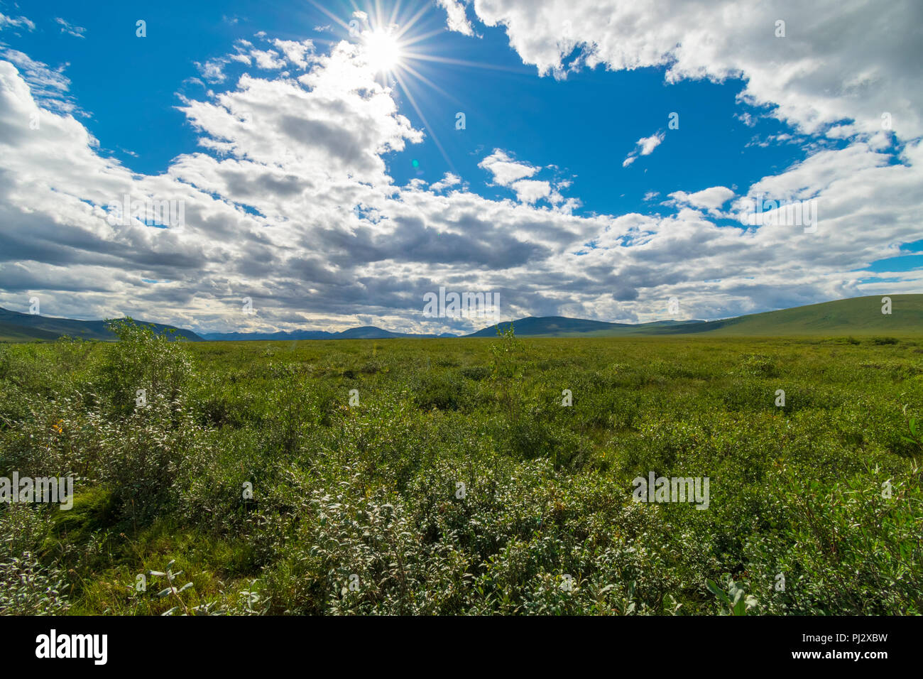 The Vast Wilderness of The Yukon, Canada Stock Photo - Alamy