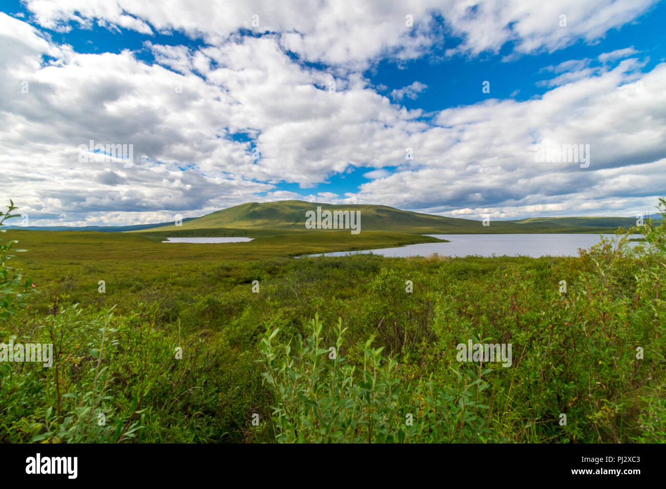 The Vast Wilderness of The Yukon, Canada Stock Photo - Alamy