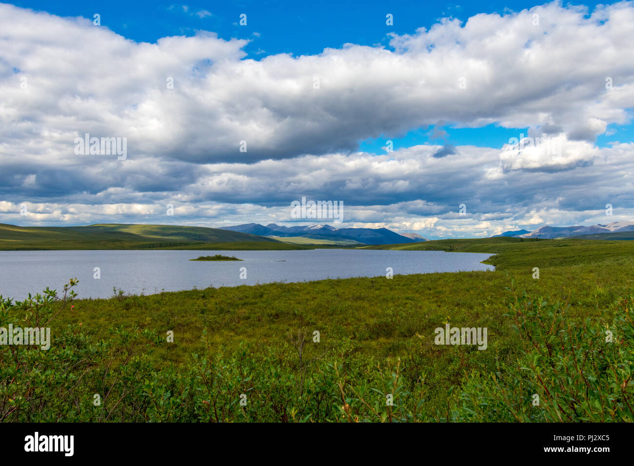 The Vast Wilderness of The Yukon, Canada Stock Photo - Alamy