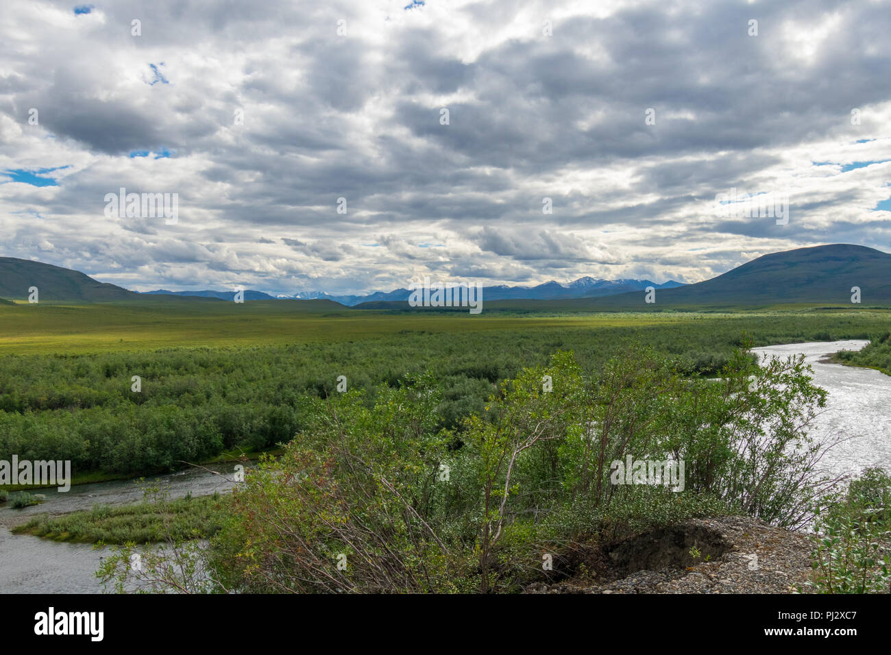 The Vast Wilderness of The Yukon, Canada Stock Photo - Alamy