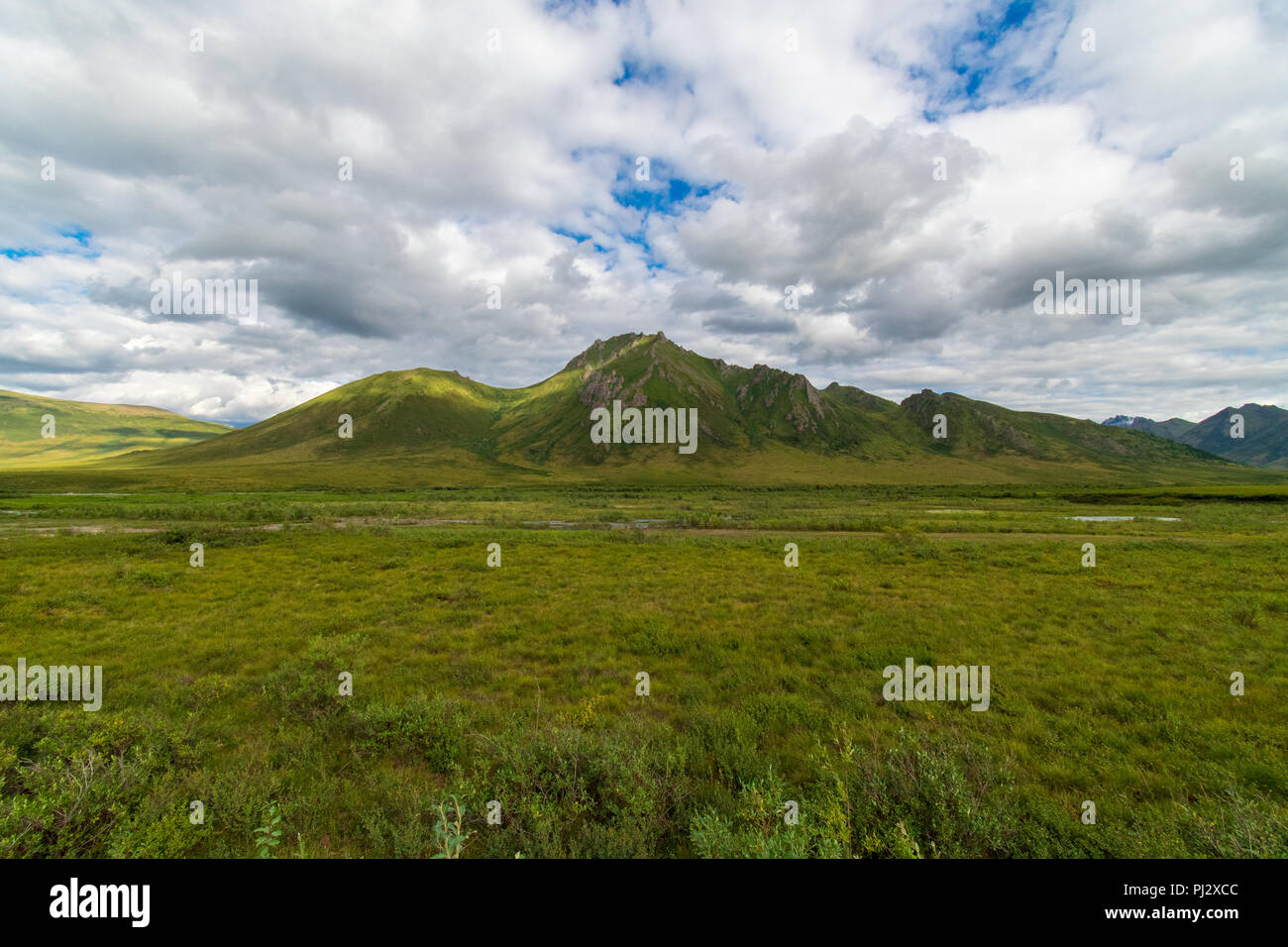 The Vast Wilderness of The Yukon, Canada Stock Photo - Alamy