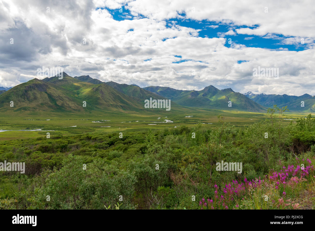 The Vast Wilderness of The Yukon, Canada Stock Photo - Alamy