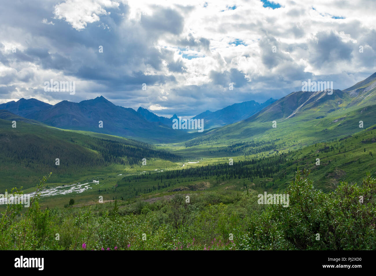The Vast Wilderness of The Yukon, Canada Stock Photo - Alamy