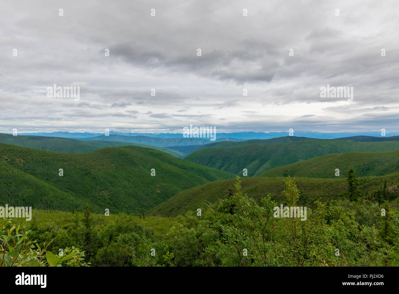 The Vast Wilderness of The Yukon, Canada Stock Photo - Alamy
