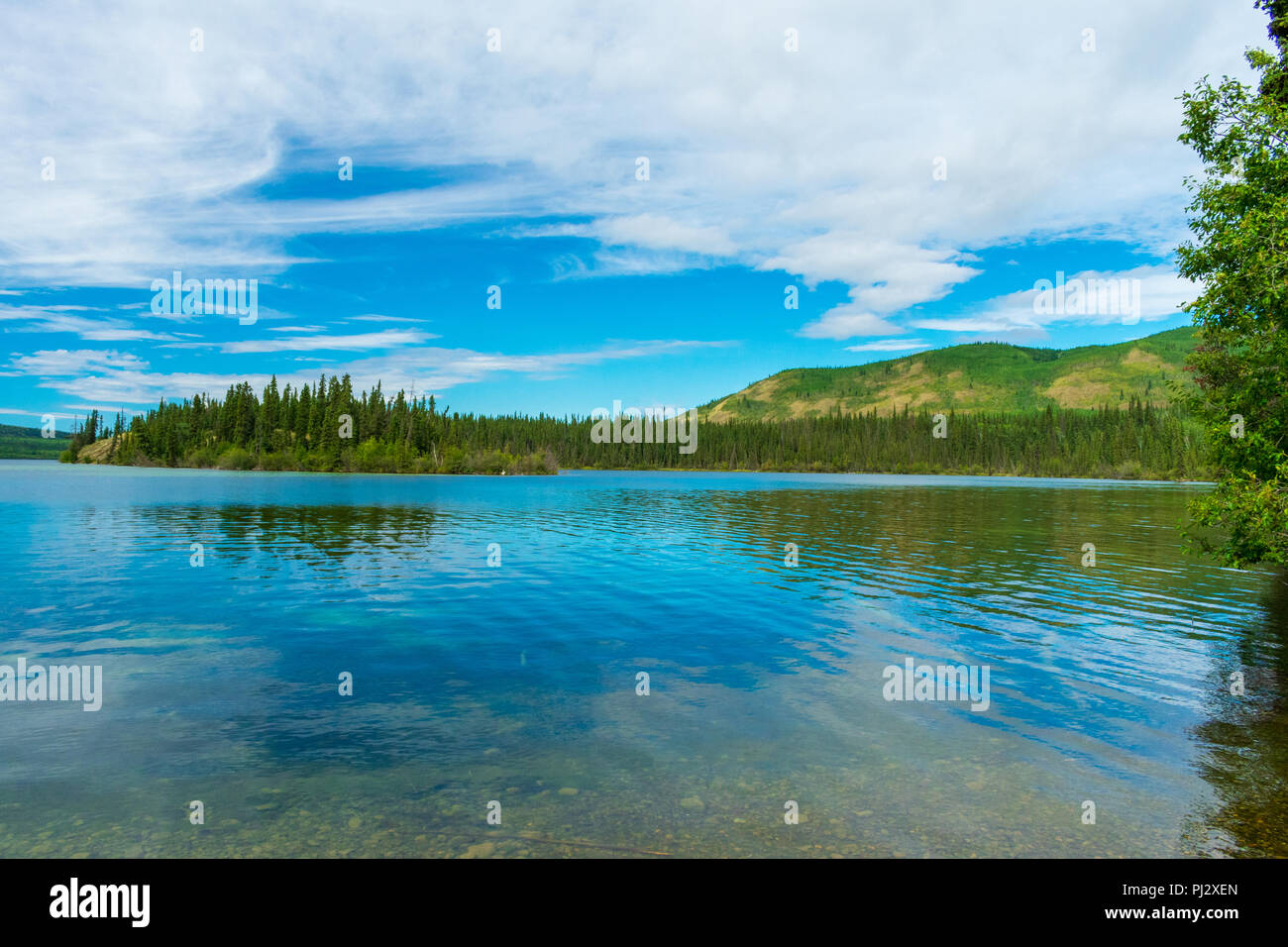 The Vast Wilderness of The Yukon, Canada Stock Photo - Alamy