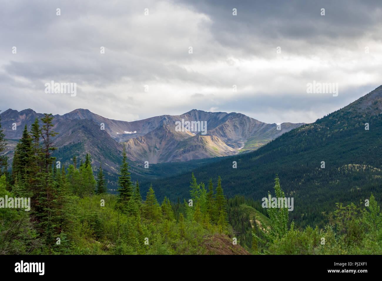 The Vast Wilderness of The Yukon, Canada Stock Photo - Alamy
