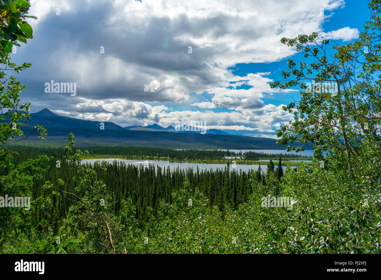 The Vast Wilderness of The Yukon, Canada Stock Photo - Alamy