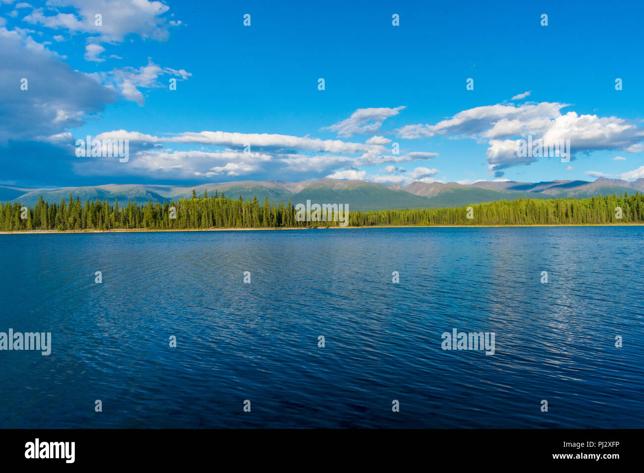 Boya Lake Provincial Park in British Columbia, Canada Stock Photo - Alamy