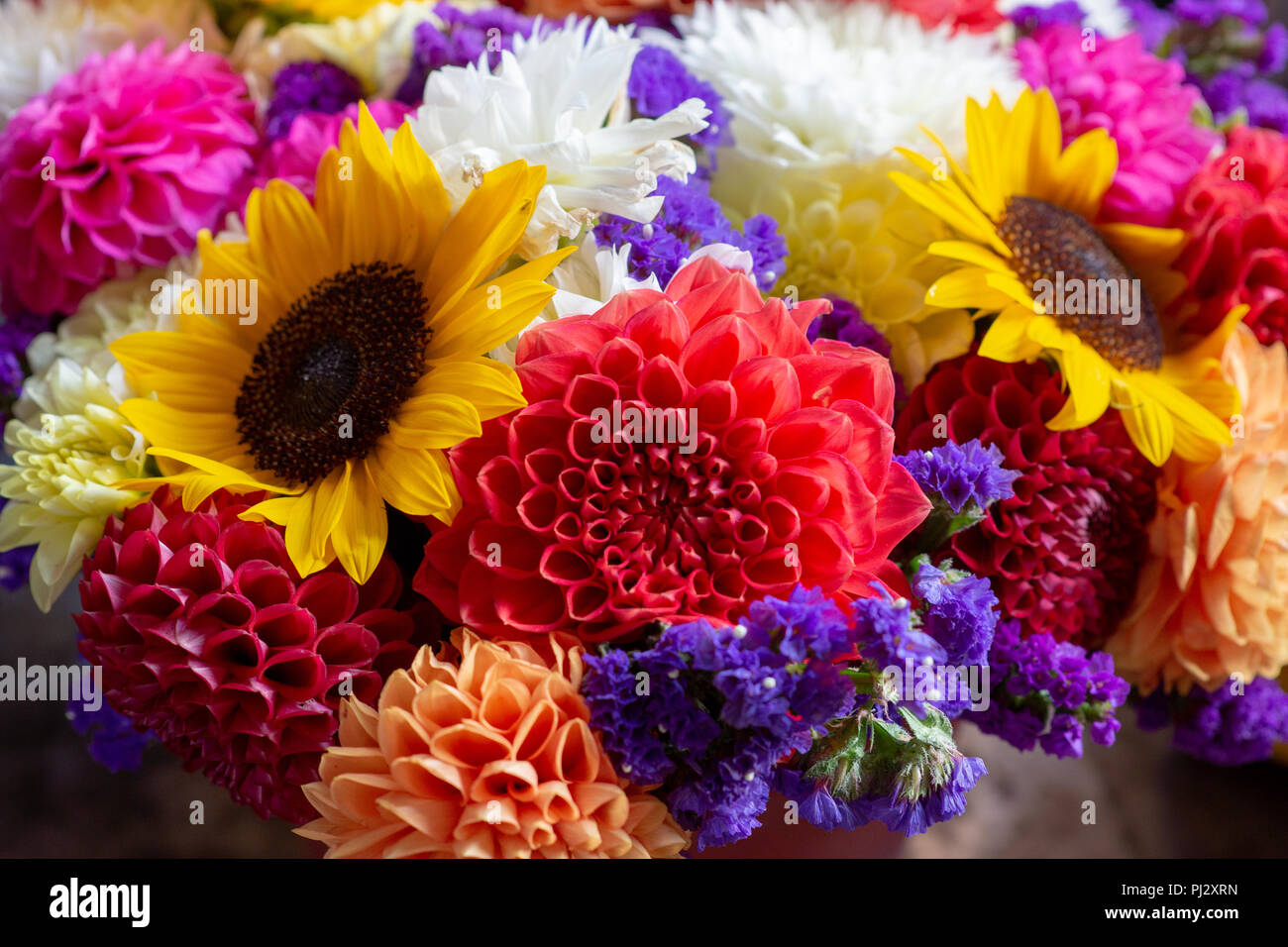 Fresh Organic Flowers Stock Photo - Alamy