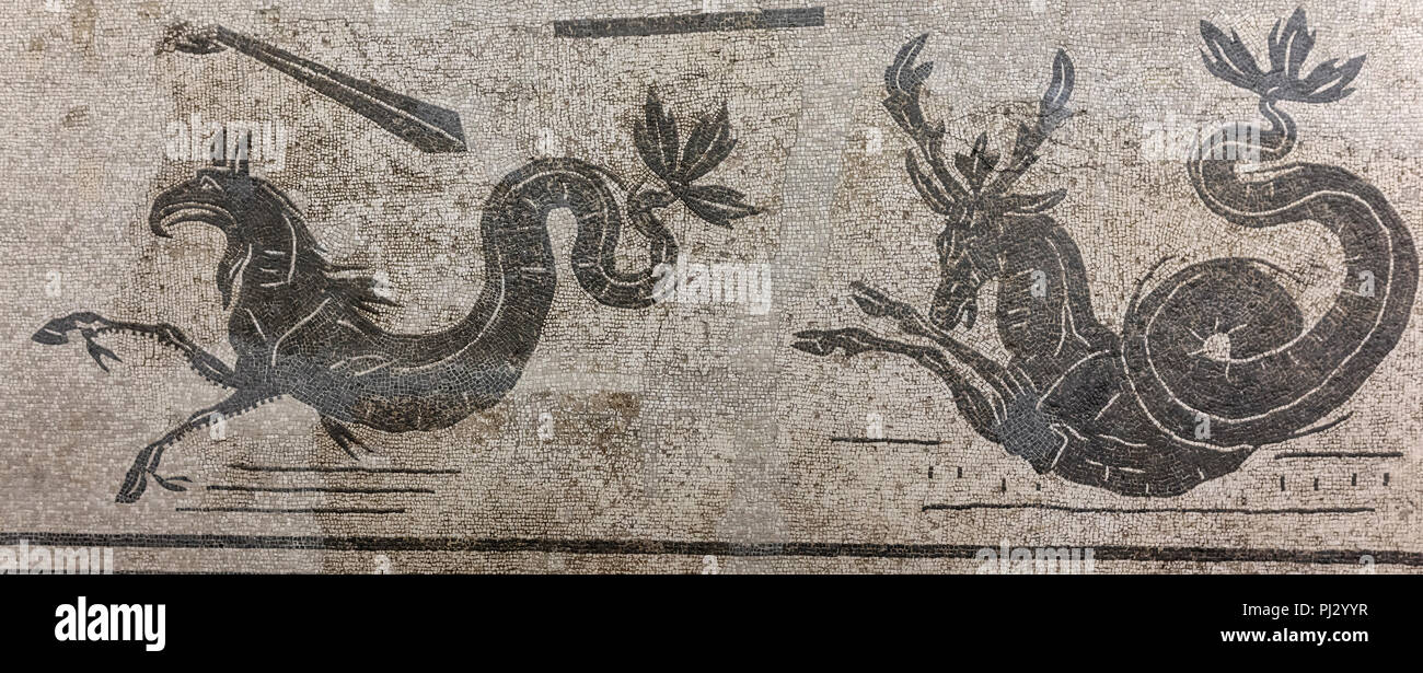 Mosaic, Archaeological Museum, Palestrina, Lazio, Italy Stock Photo - Alamy